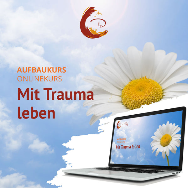Mit Trauma leben (Aufbaukurs) - Information - Shop Dami Charf